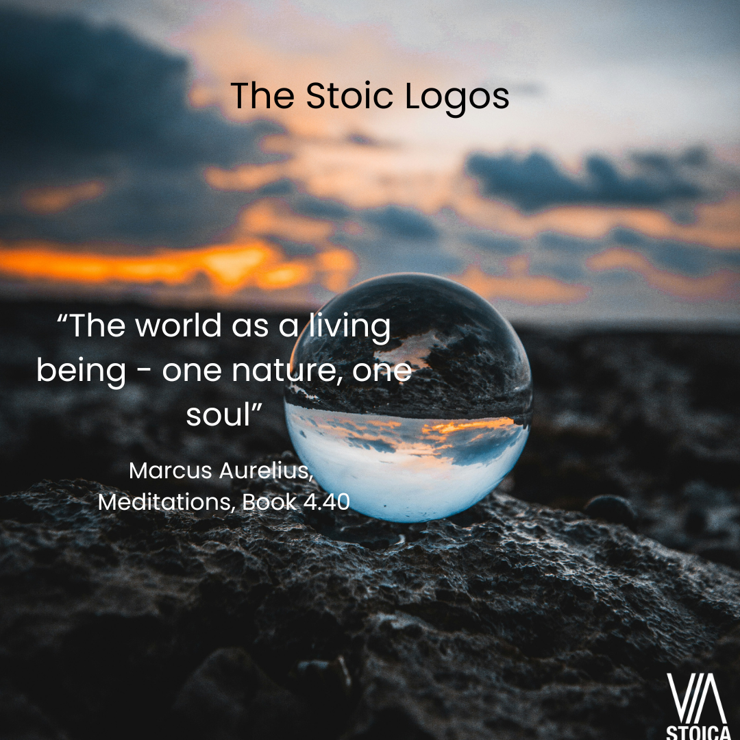 The Stoic Logos: How to Find Universal Reason Within Yourself - Via Stoica
