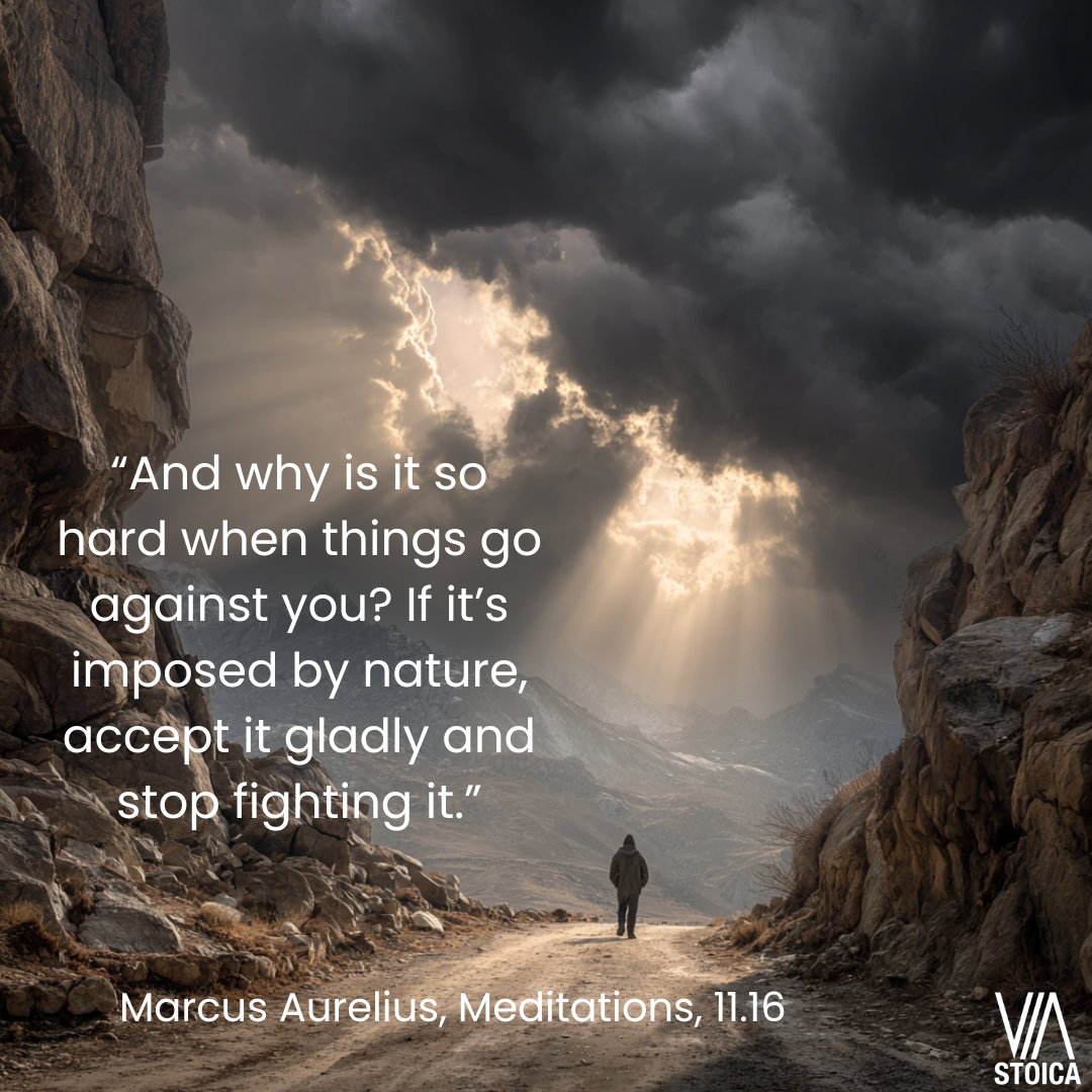 How to Practice Stoic Acceptance of What Is: A Lesson from Marcus ...