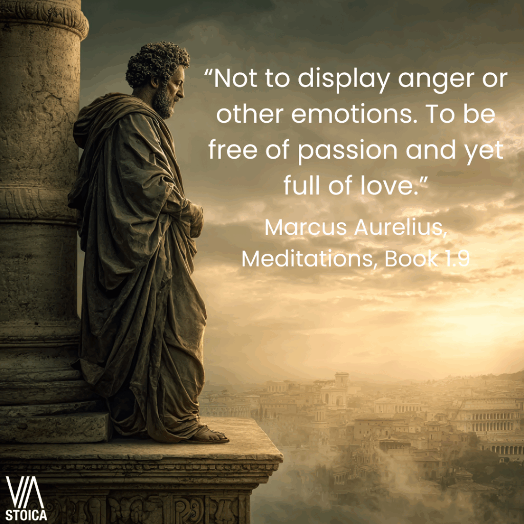 What Is the Stoic Emotional Focus? Understanding Pathos and Eupatheia ...
