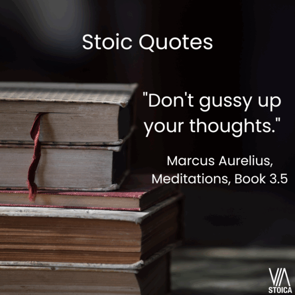 Stoic Quotes: Authentic Wisdom from Epictetus, Seneca, and Marcus - Via ...